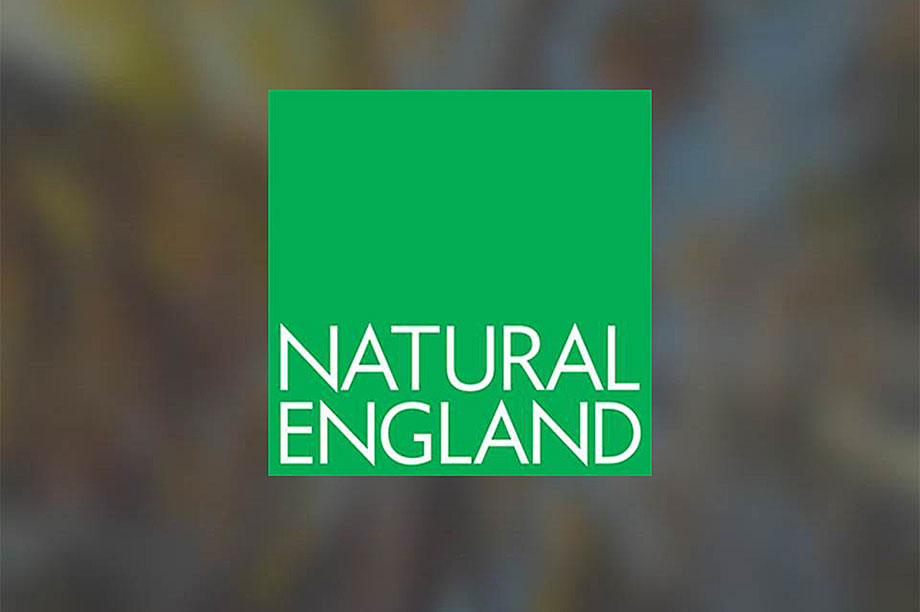 Four new appointments to the Natural England board | HortWeek