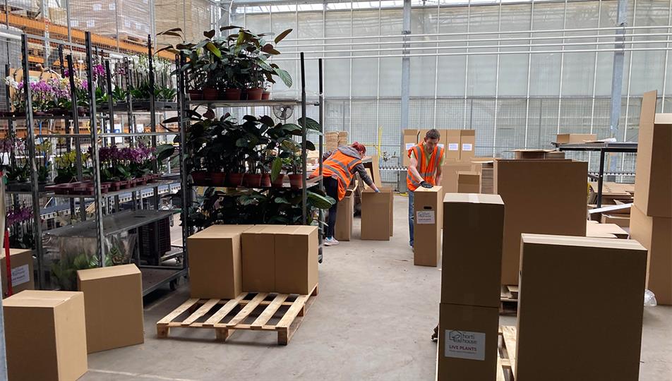 Online plant sales and the future | HortWeek