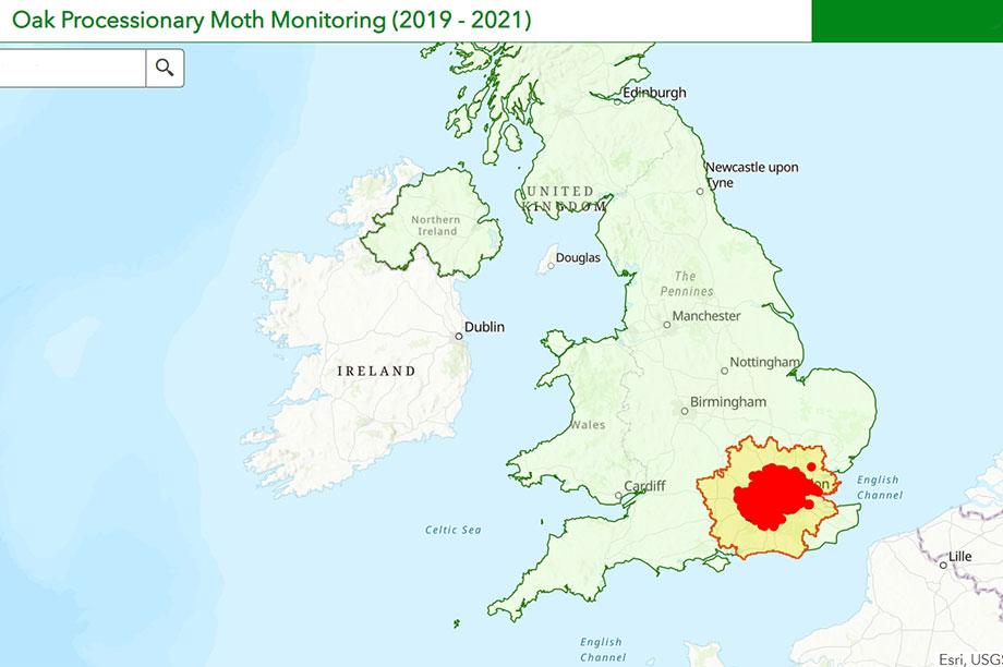 OPM boundaries expanded to cover the main area of infestation | HortWeek