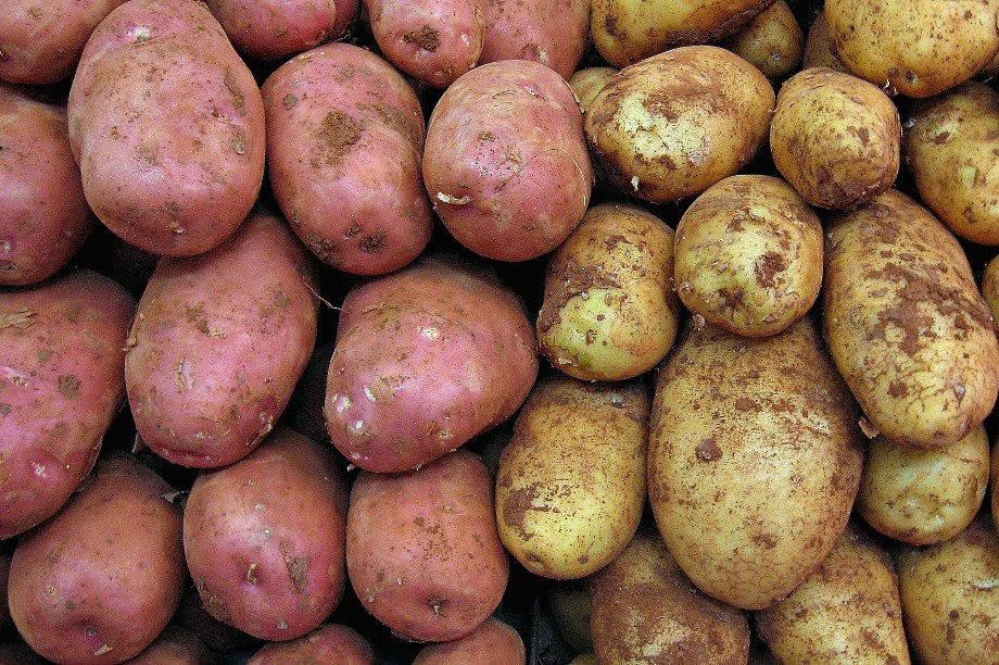 Branston unveils £1.7m production line on back of potato supply ...