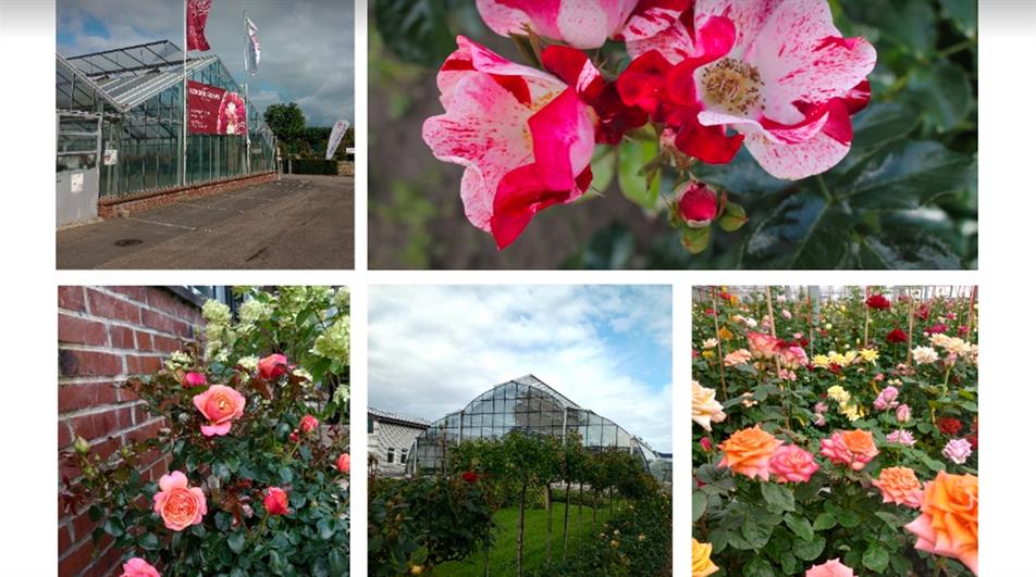 Exploring the greenhouses and trial fields of two of Germany’s leading ...