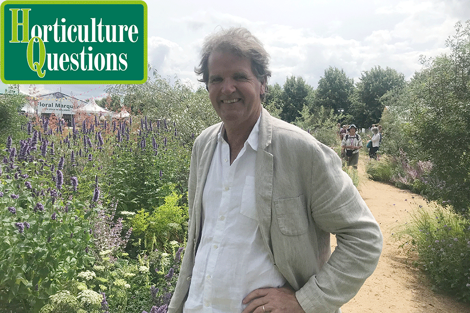 Four questions with Tom Stuart-Smith | HortWeek