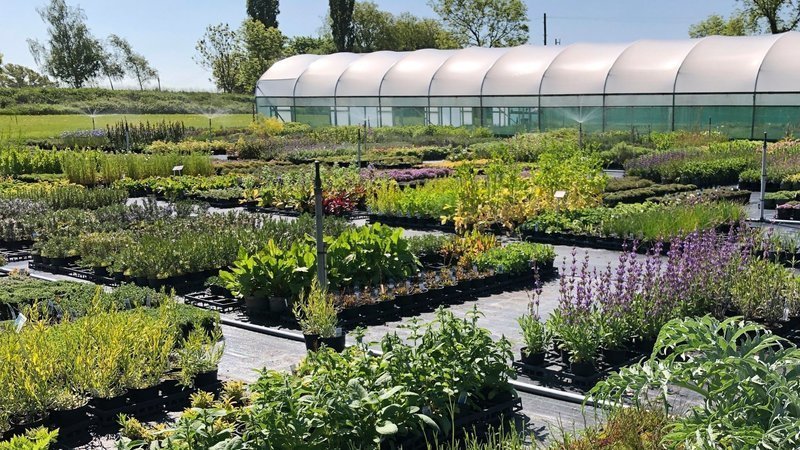 Jekka McVicar s Retail Nurseries Petition Gains Momentum As Signatures 