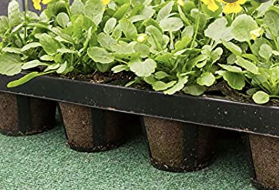 Plantopia Eco Pulp to premiere at Four Oaks 50th trade show | HortWeek